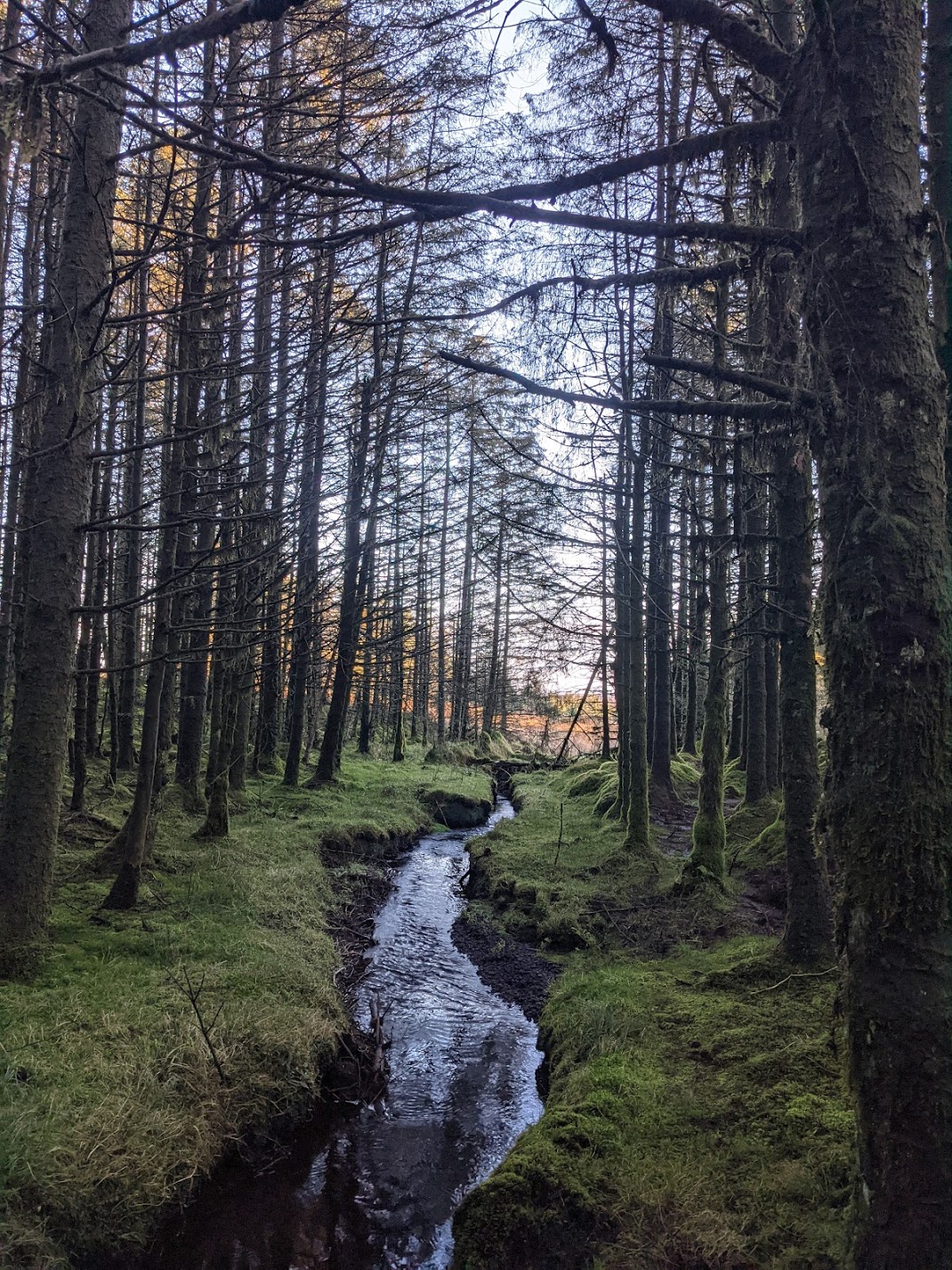 Trostan – Things We Love: Great Hikes – The Inside Trek